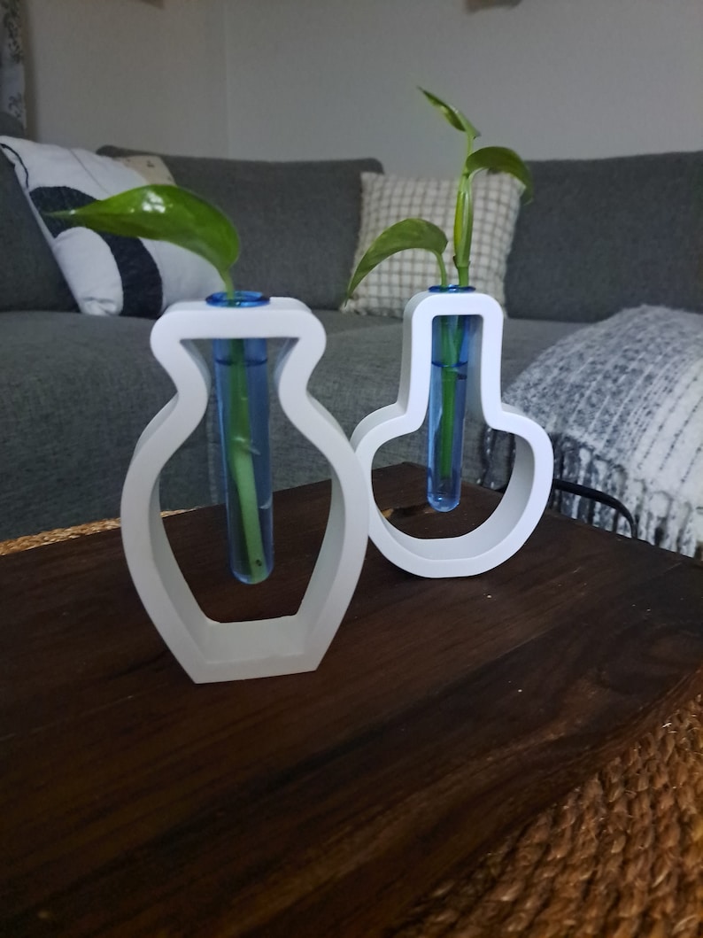 Propagation Station- Set of Two- Test Tube Vase-test Tube Flower Stand ...