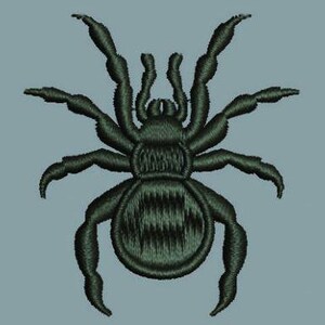Spider Embroidery Design: Insect Machine Embroidery Pattern (digital ...