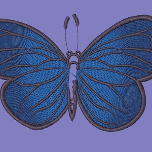 Butterfly Embroidery Design: Elegant Gradation (digital Download) - Etsy