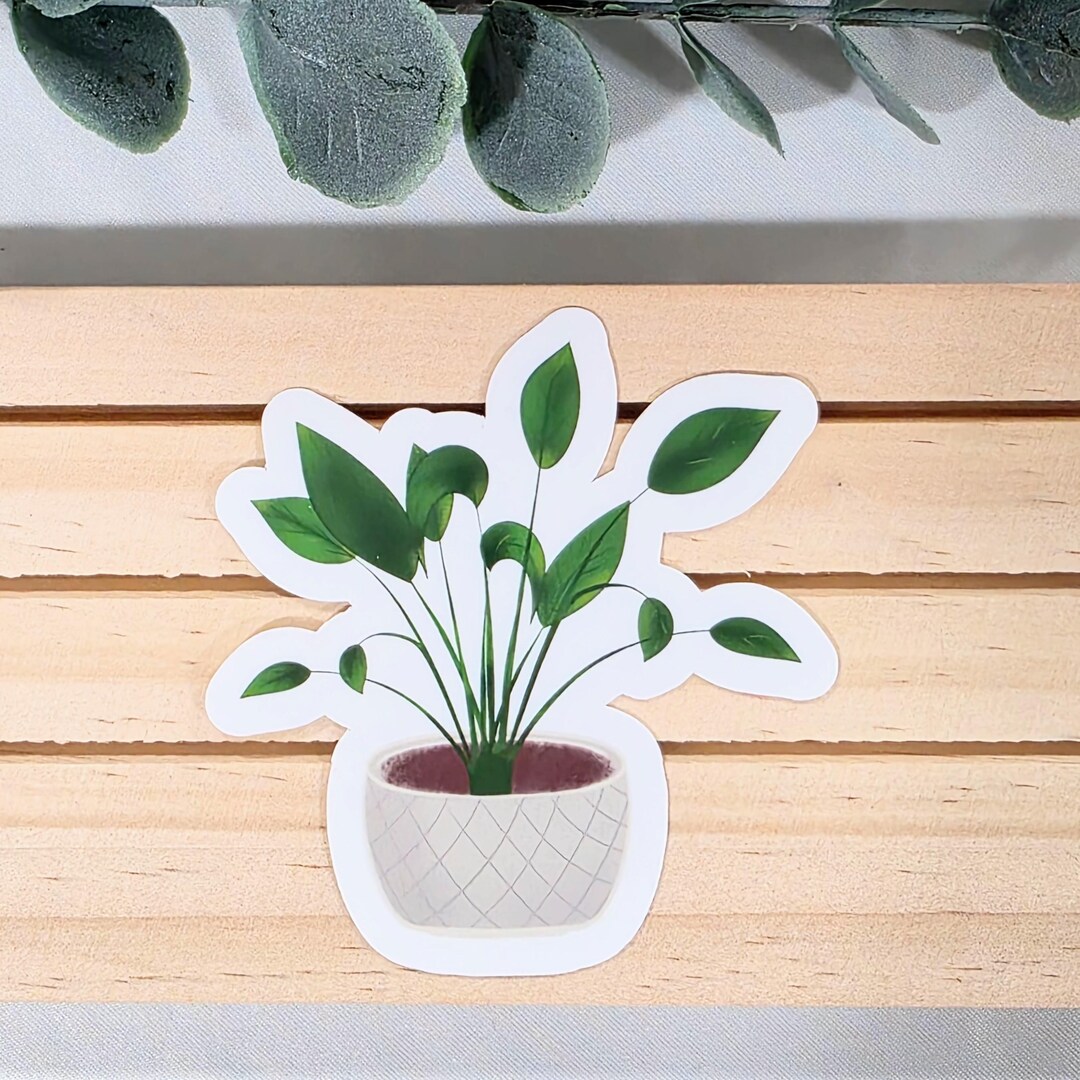 Leafy Plant Sticker: Hand-drawn Houseplant in White Pot, Water ...