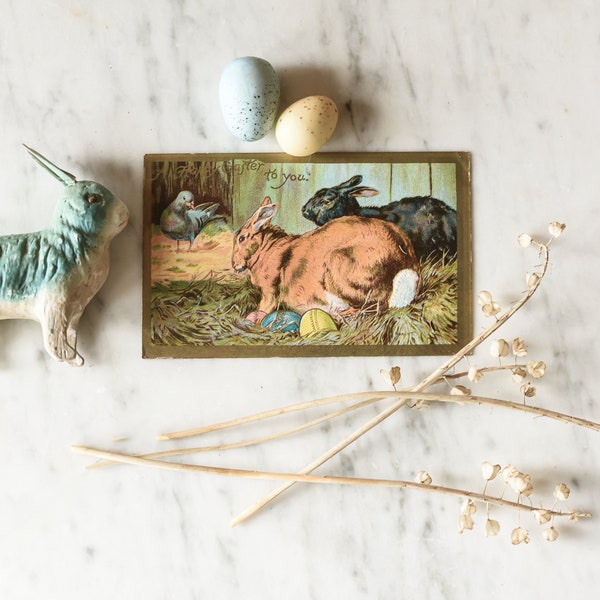 Antique Post Cards Rabbits - Etsy