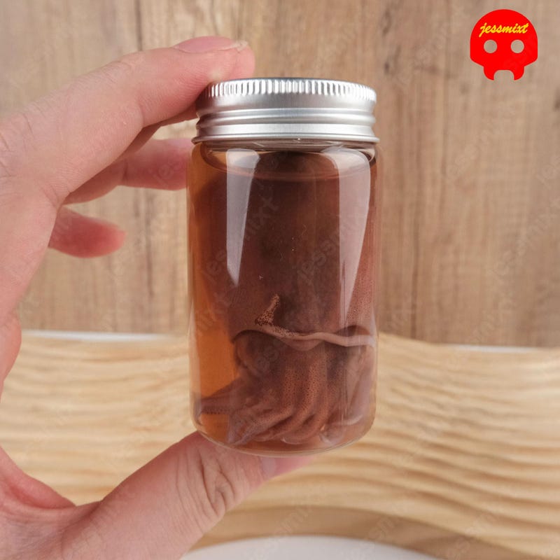 Nature Specimen - Etsy