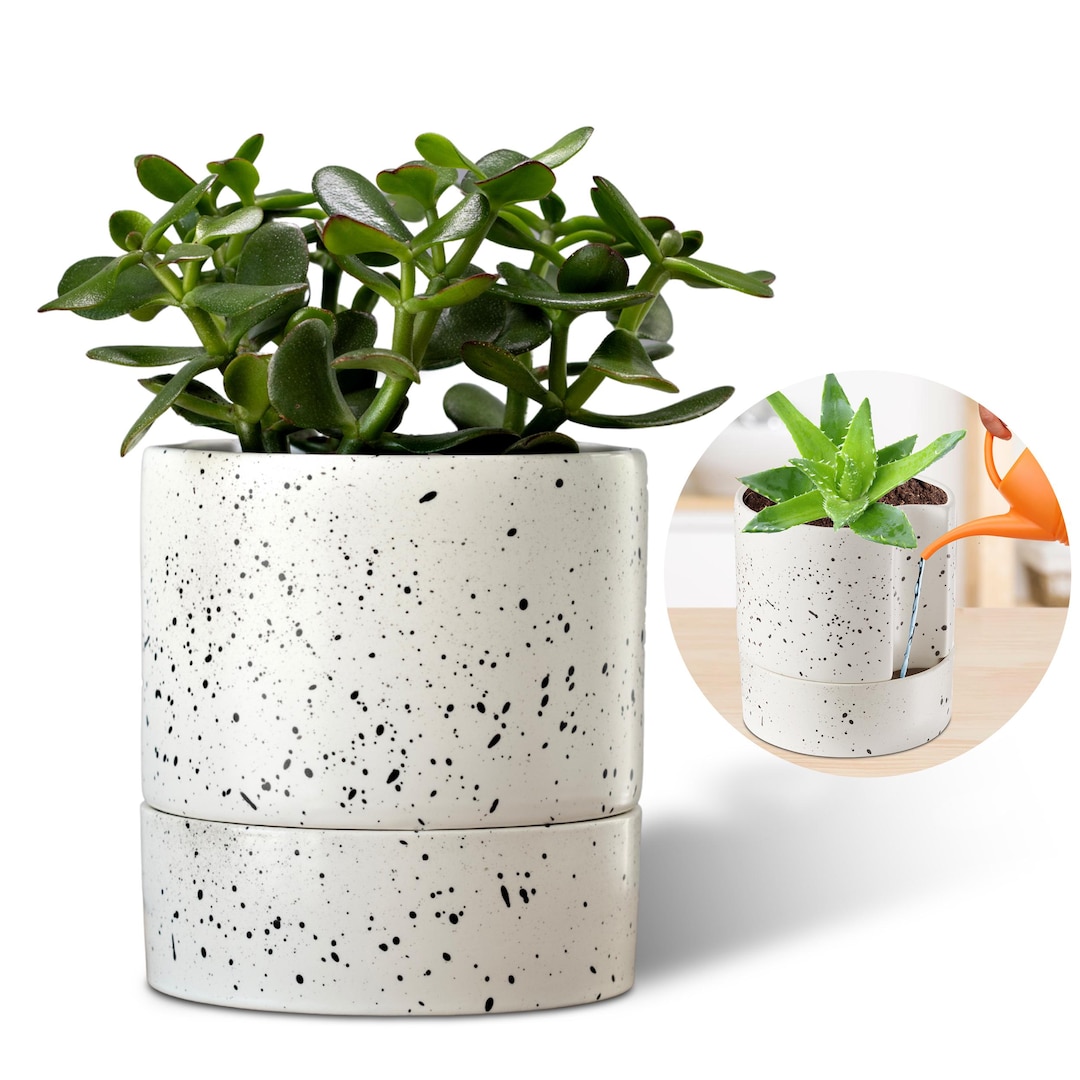Self-watering Planter, Ceramic Self-watering Pot, Functional for Indoor ...