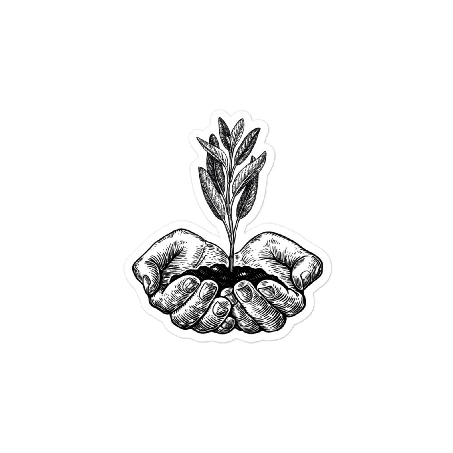 Islam | Hadith | Planting a Seedling | Faith | Commitment ...