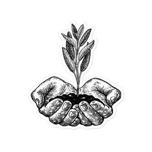 Islam | Hadith | Planting a Seedling | Faith | Commitment ...