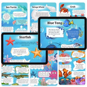 50 Sea Animals – Educational Printable Book for Kids | Marine Life ...