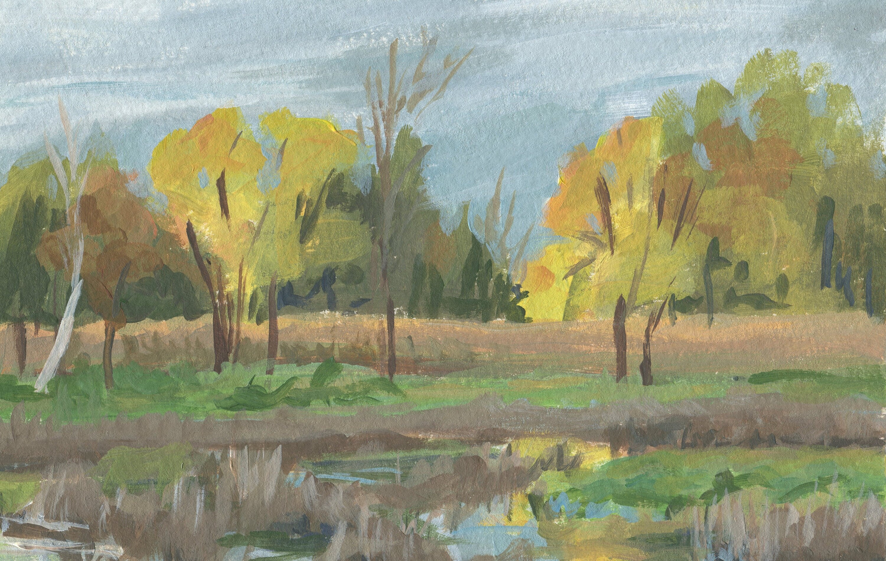 Original Painting , Tamarack Wetland, 5x7" Small Plein Air Landscape - Etsy