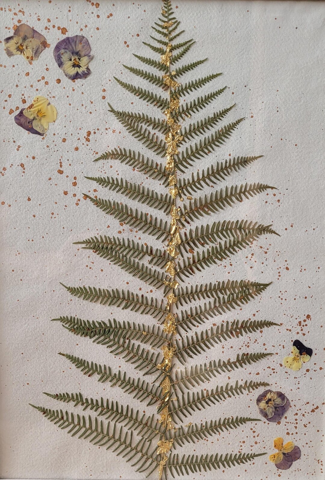 Felce Quadro* Fern Arte Botanica Flowerspittura, Botanical Art ...