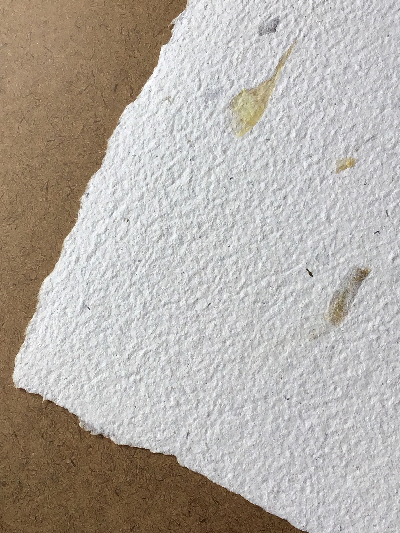 BY THE SHEET off White Floral Handmade Paper Recycled Paper - Etsy