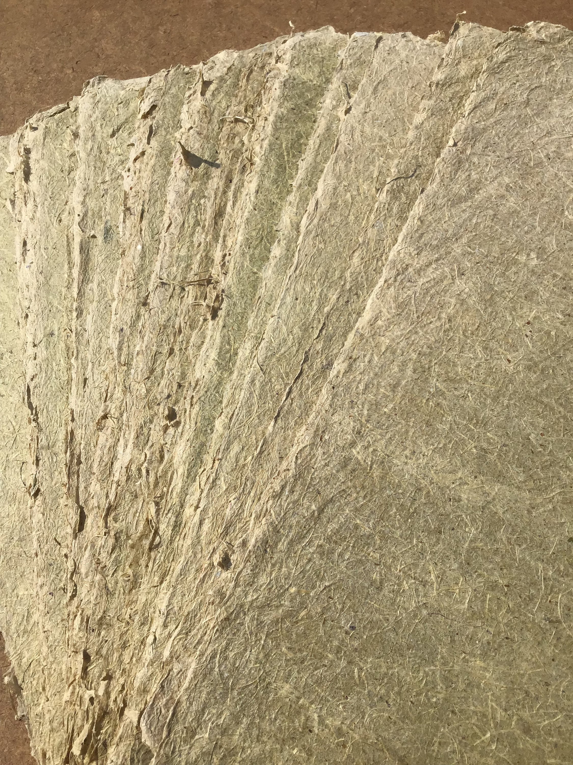 Grass Hay Paper, 8.5x11 inch, hay paper, handmade paper, raw plant ...