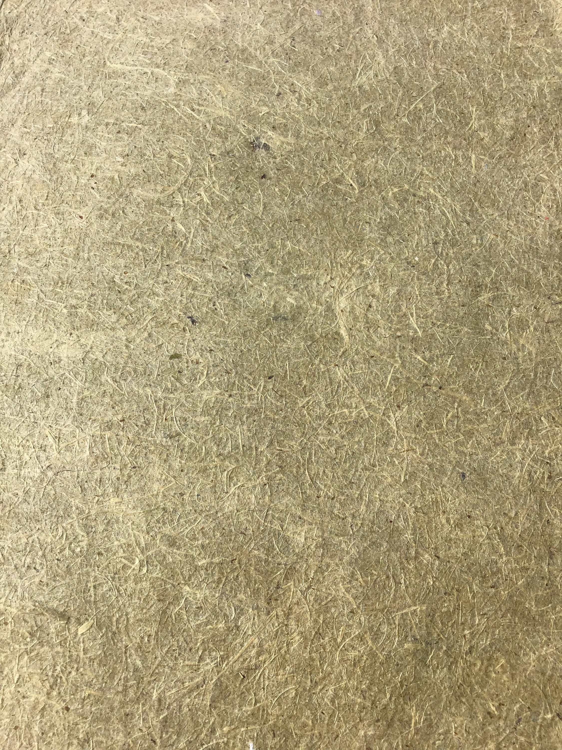 Grass Hay Paper, 8.5x11 inch, hay paper, handmade paper, raw plant ...