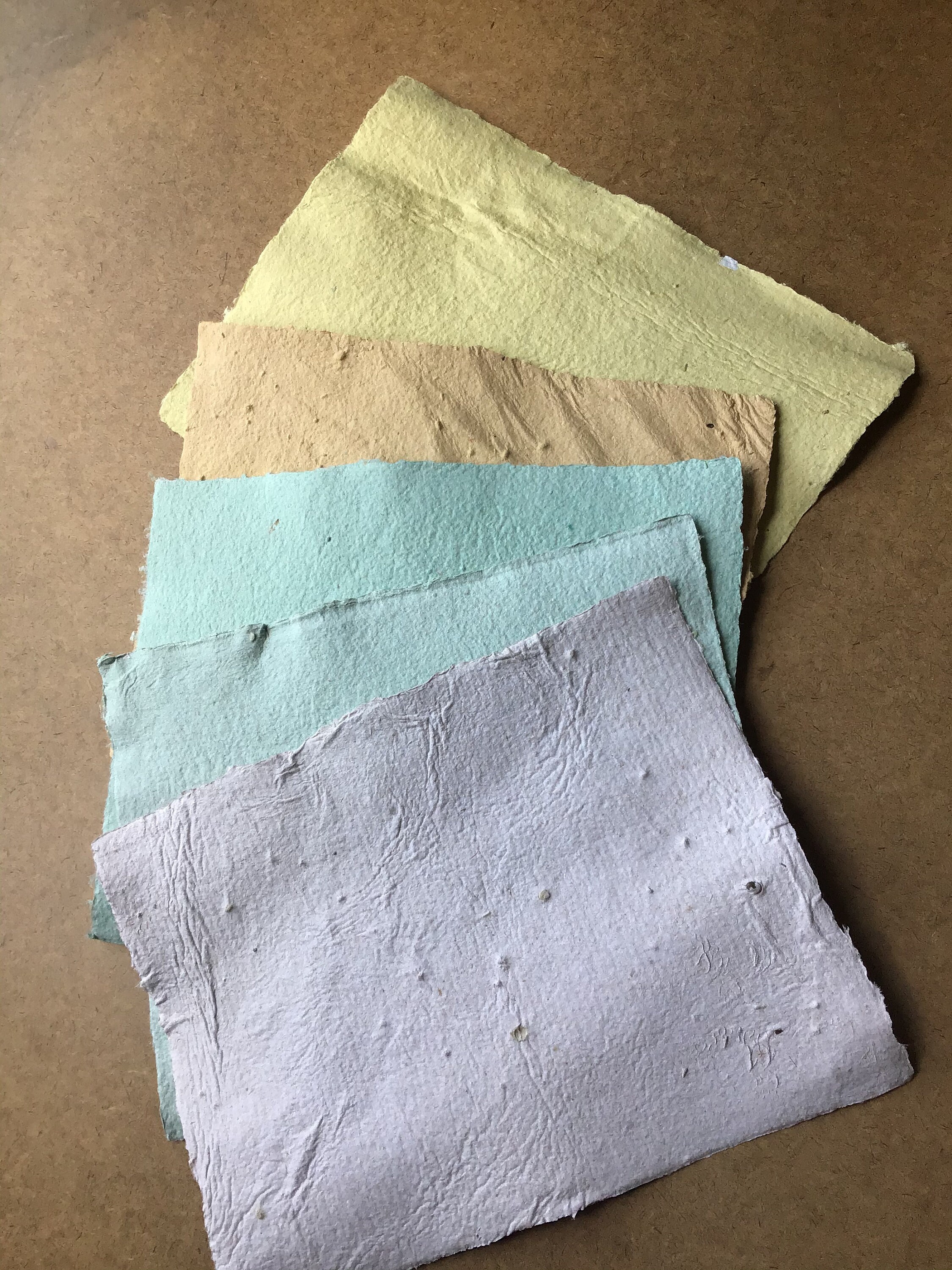 Flawed Plantable Paper Sheets 8 5x11 Inch Paper Seed Paper Midwest 