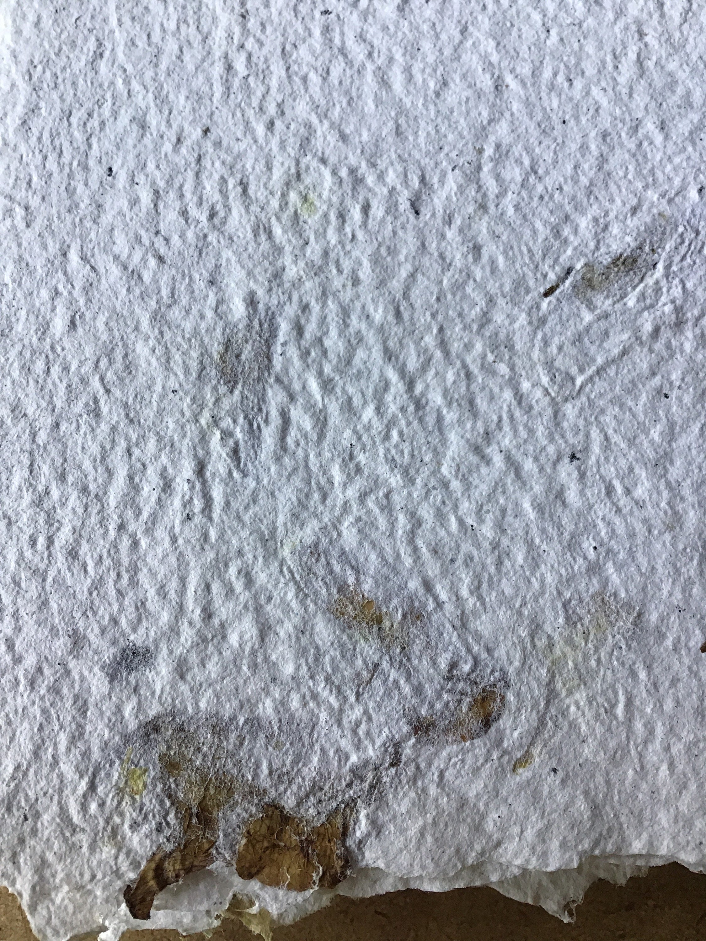 BY THE SHEET Off white floral handmade paper, recycled paper, eco ...