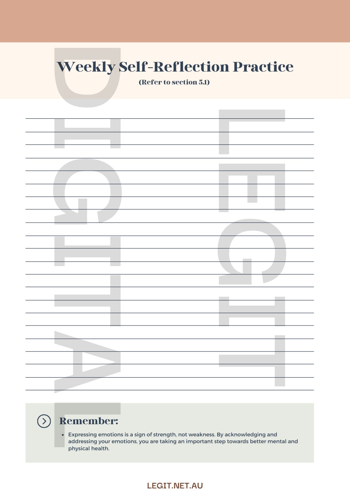 Emotional Regulation Workbook, Emotional Regulation for Adults ...