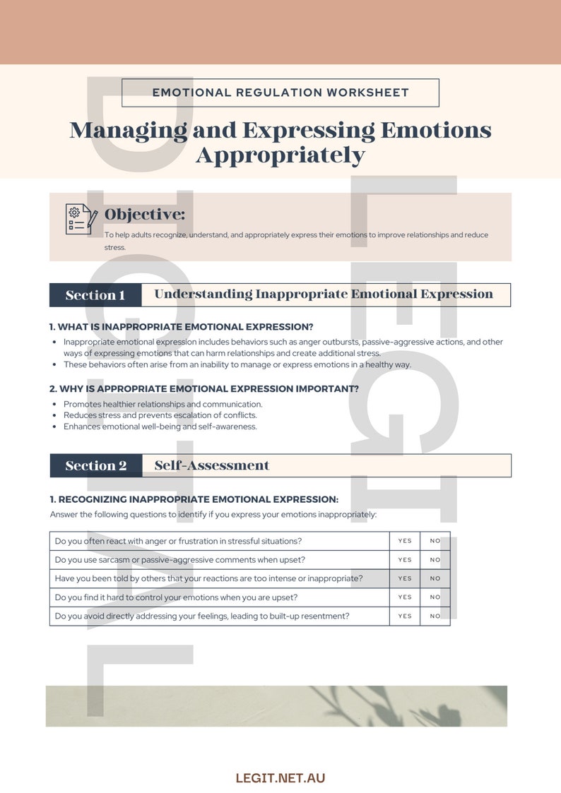 Emotional Regulation Workbook, Emotional Regulation for Adults ...