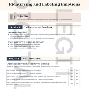 Emotional Regulation Workbook, Emotional Regulation for Adults ...