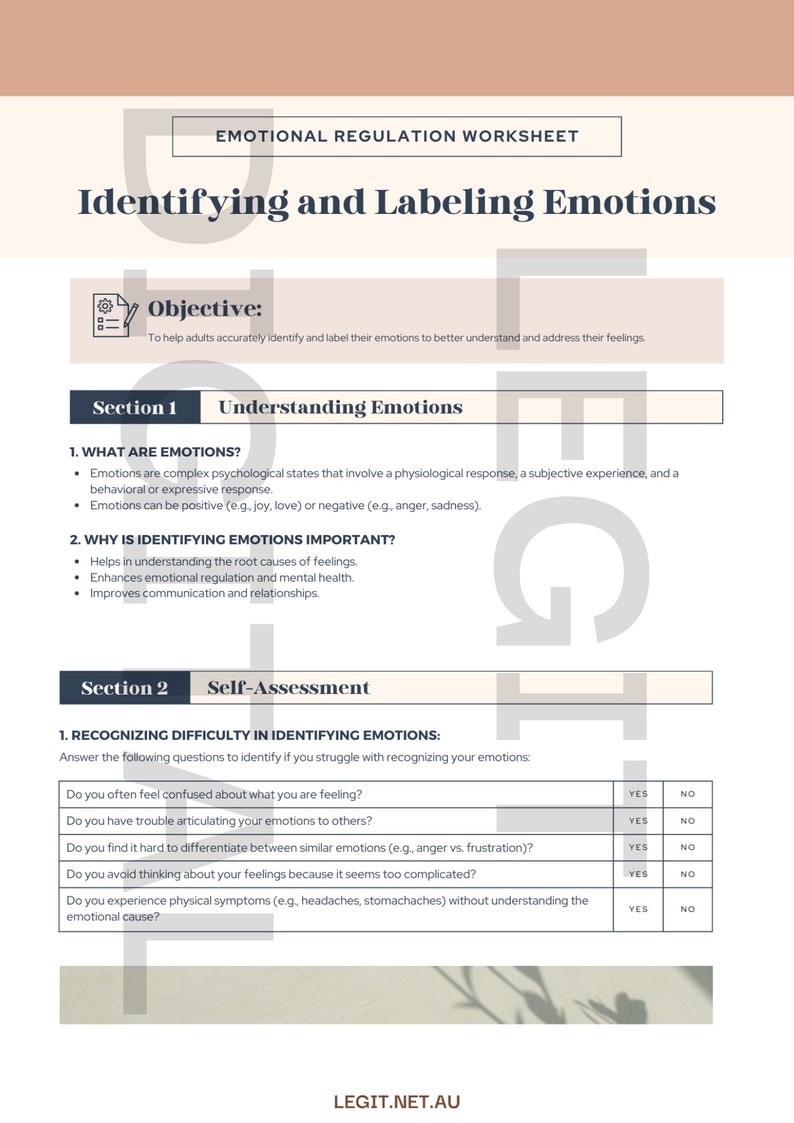 Emotional Regulation Workbook, Emotional Regulation for Adults ...
