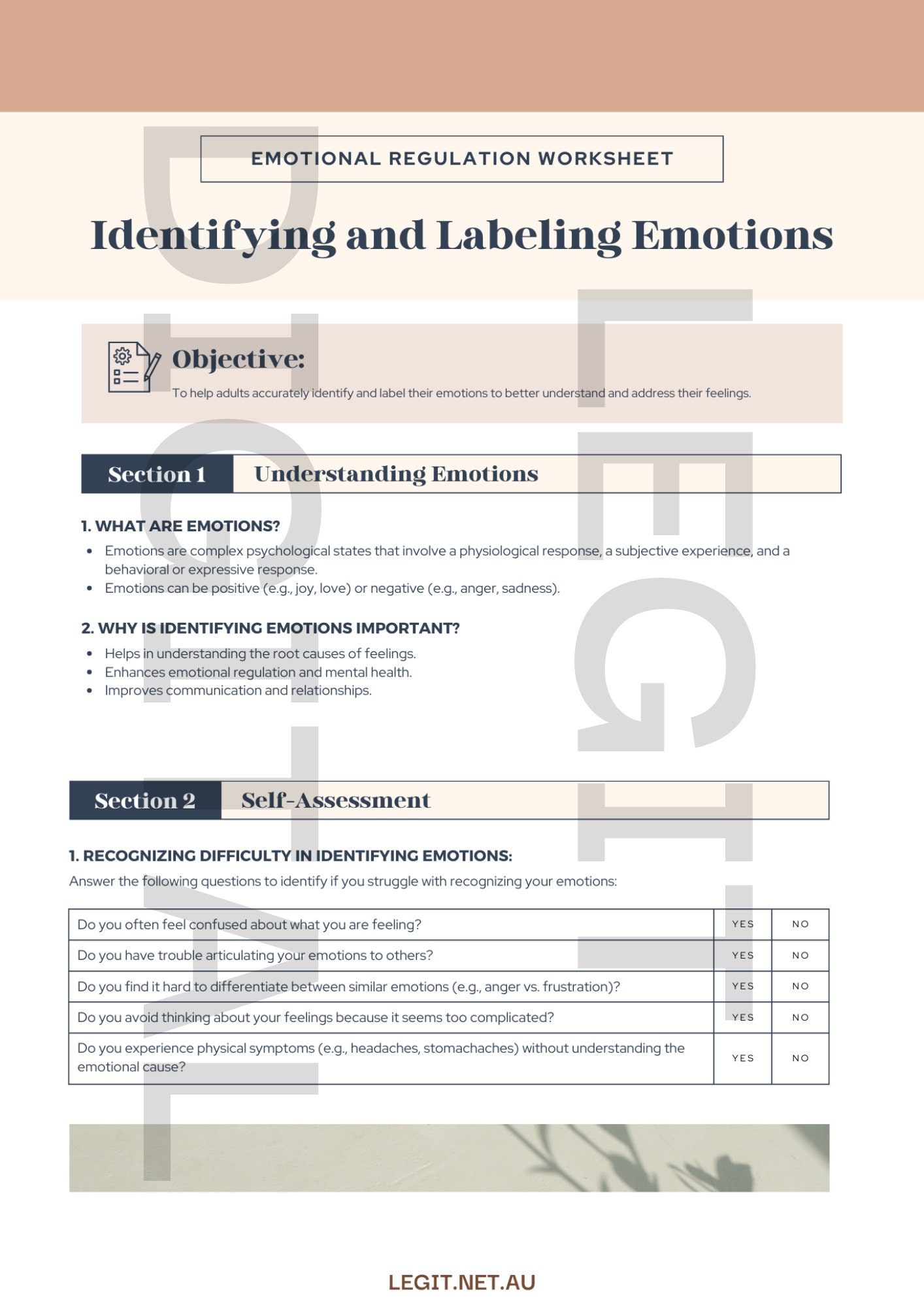 Emotional Regulation Workbook, Emotional Regulation for Adults ...