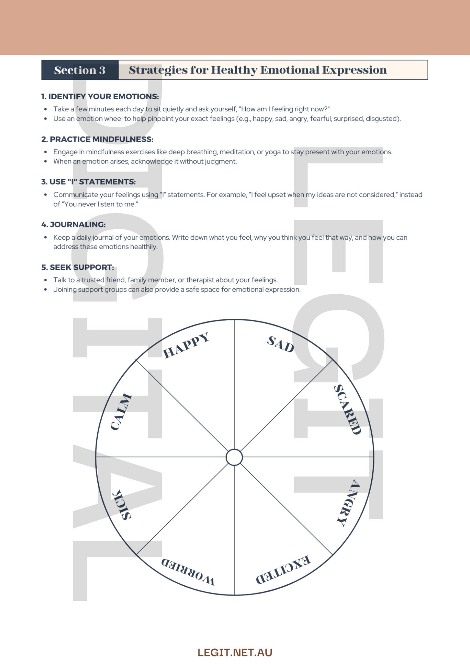 Emotional Regulation Workbook, Emotional Regulation for Adults ...