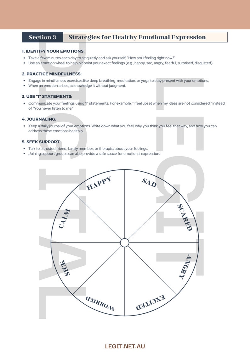 Emotional Regulation Workbook, Emotional Regulation for Adults ...