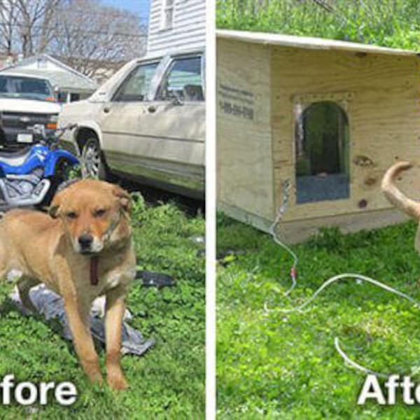 Dog House Outdoor - Etsy