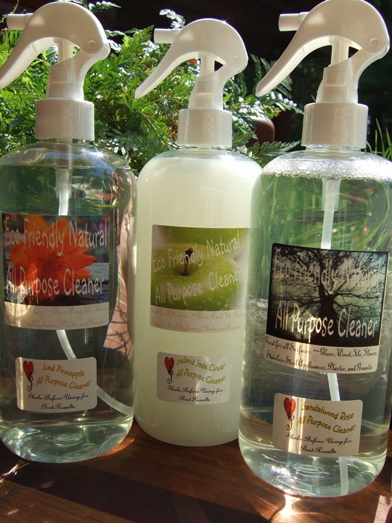 Eco-friendly 16 Oz All Purpose Cleaner PLANT BASED You Custom - Etsy