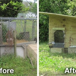 DOG HOUSE ~ by PETA for Dogs With No Home - Etsy