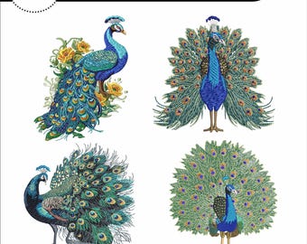 Beautiful Peacock - Peacock Design - Bird Embroidery - Machine Embroidery - Digital Designs ...