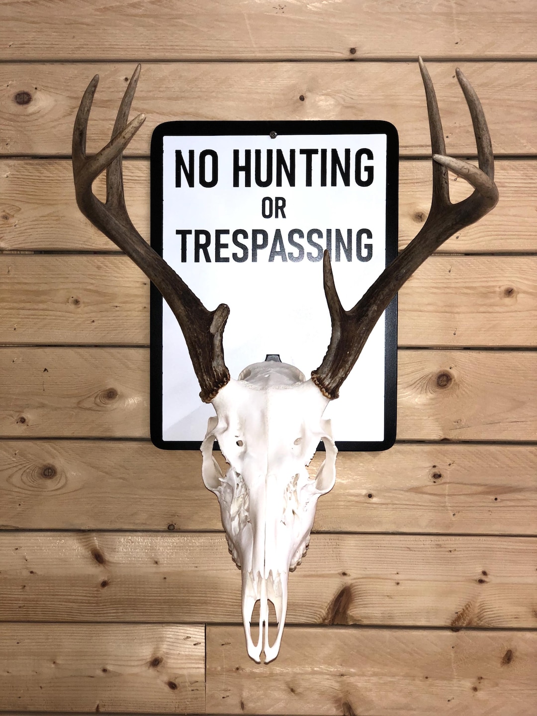 Custom Euro Mount Skull Plaque - Etsy