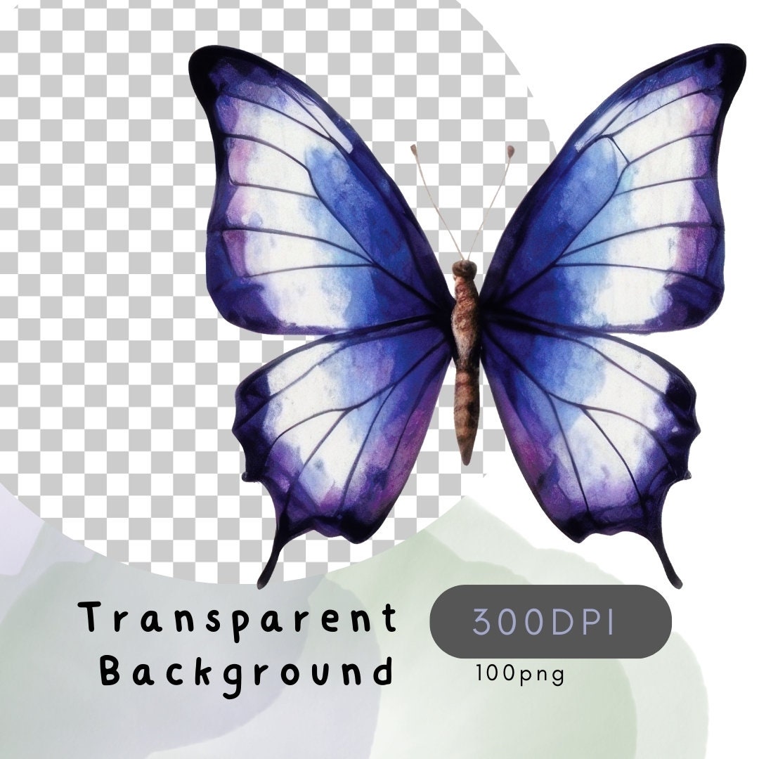 100,butterfly Watercolor Clipart, Animal Watercolor PNG Files ...