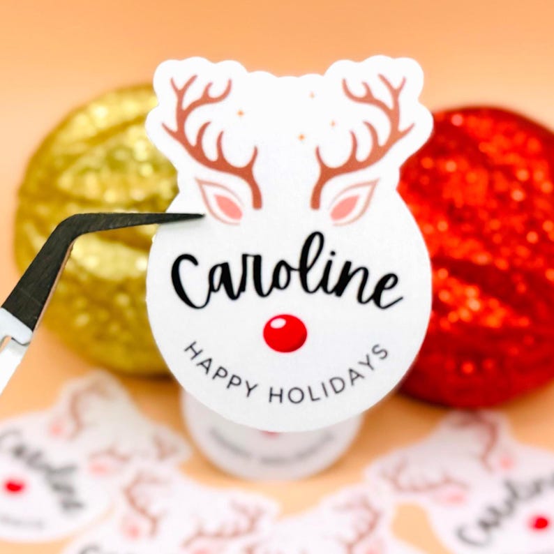 Personalized Reindeer Gift Tags, Christmas Present Sticker Pack - Etsy