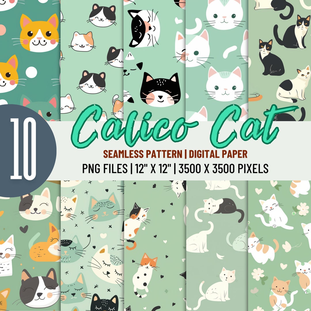 Cute Calico Cat Pattern Cat PNG Mint Background Patterns Digital Paper ...
