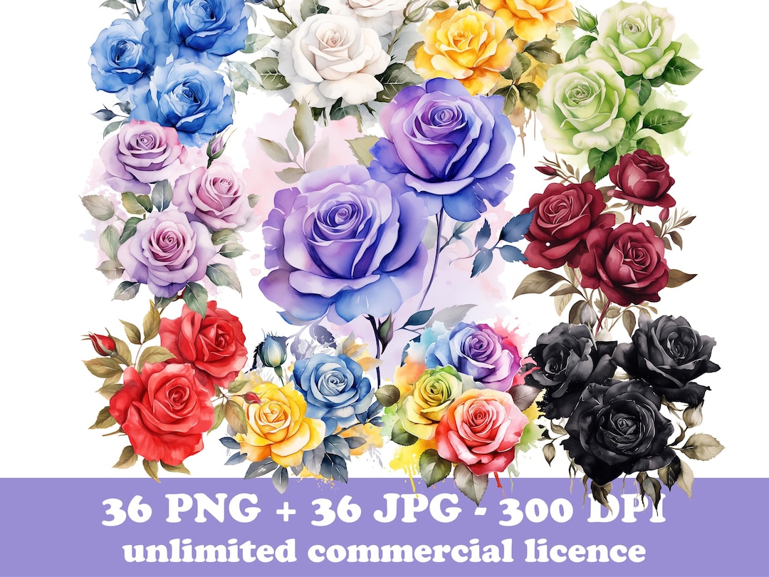 36 Watercolor Rose Clipart, Flowers Clipart PNG, Roses Bundle PNG ...