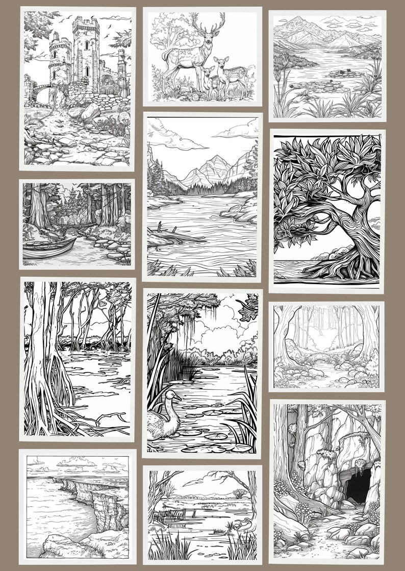 30 Nature Inspired Colouring Pages, Great for Gifts or Afternoon ...