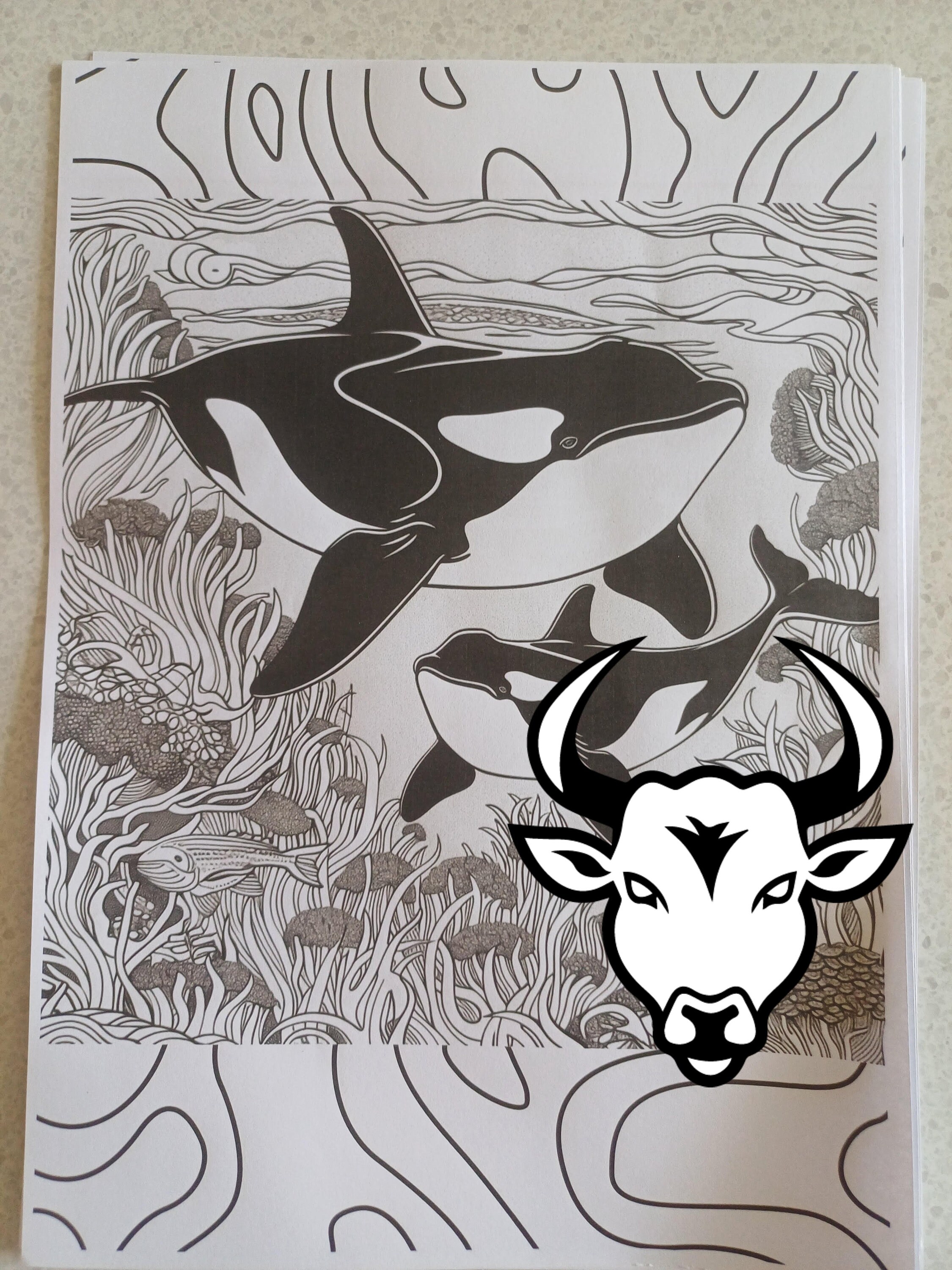 30 Ocean Inspired Colouring Pages Perfect for Marine Lovers, Gift ...