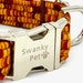 Beautiful Fall Indian Corn Collar by Swankypet - Etsy