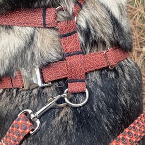Matching Harnesses by Swanky Pet - Etsy