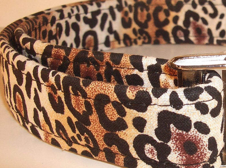 Stylish Cheetah Print Collar by Swanky Pet | Etsy