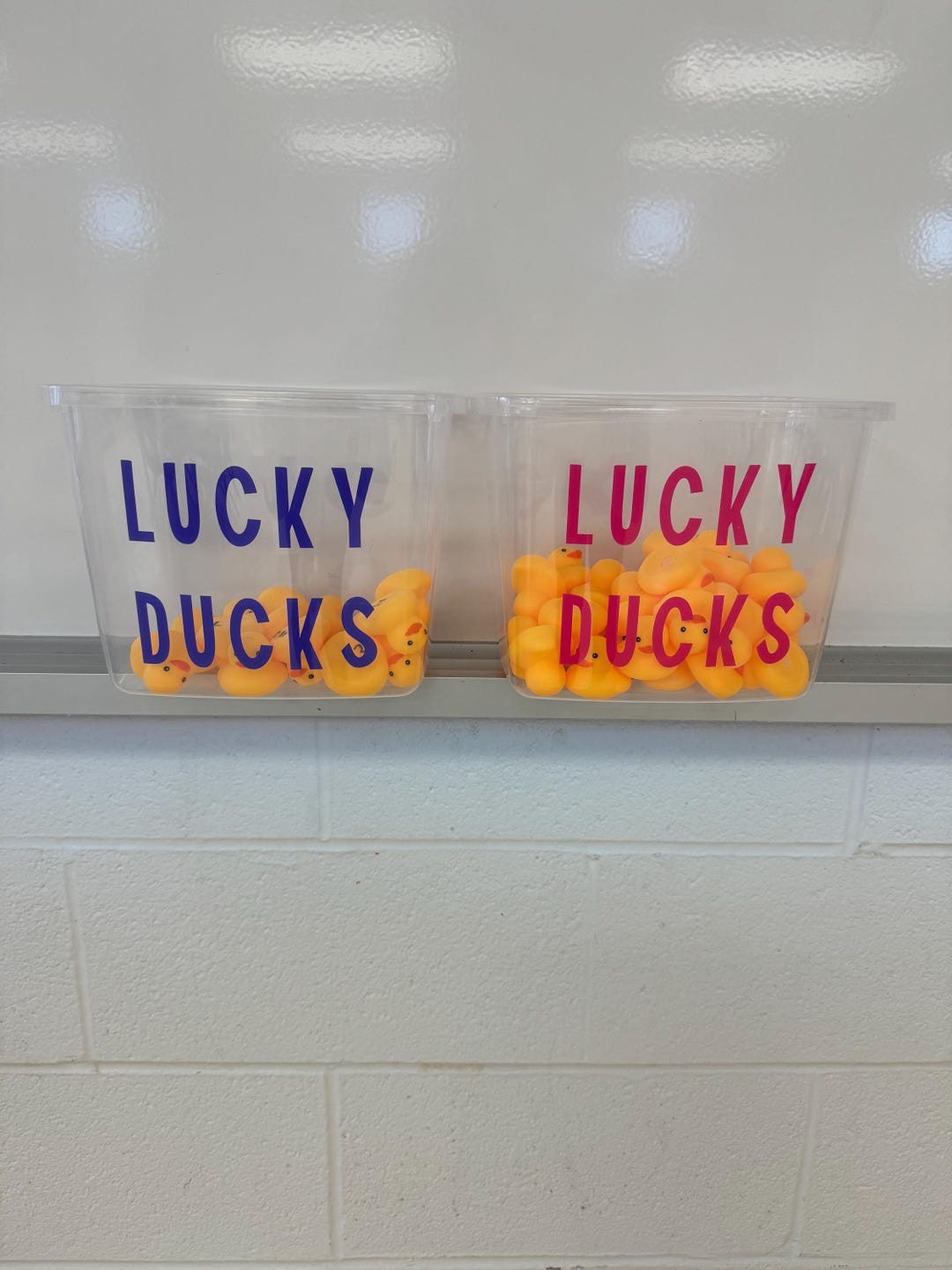 Lucky Ducks Classroom Sticker - Etsy