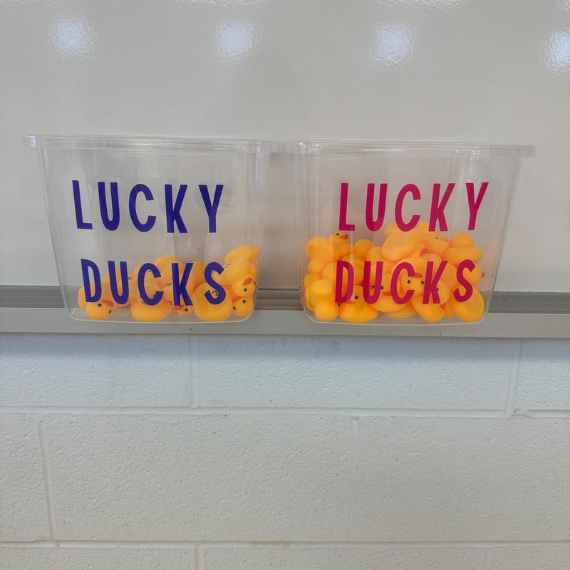 Lucky Ducks - Etsy
