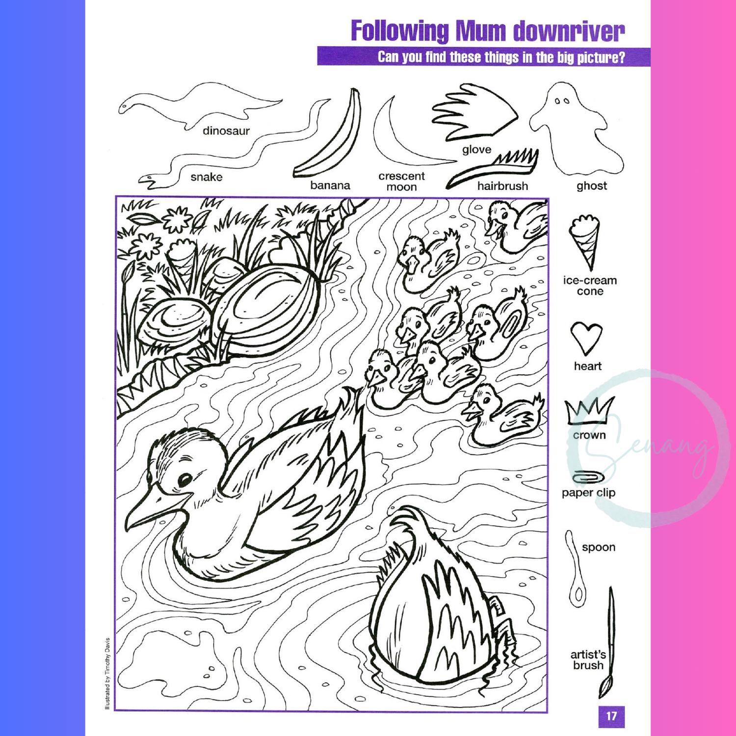 Find the Hidden Pictures Activity for Children PDF With Answers ...