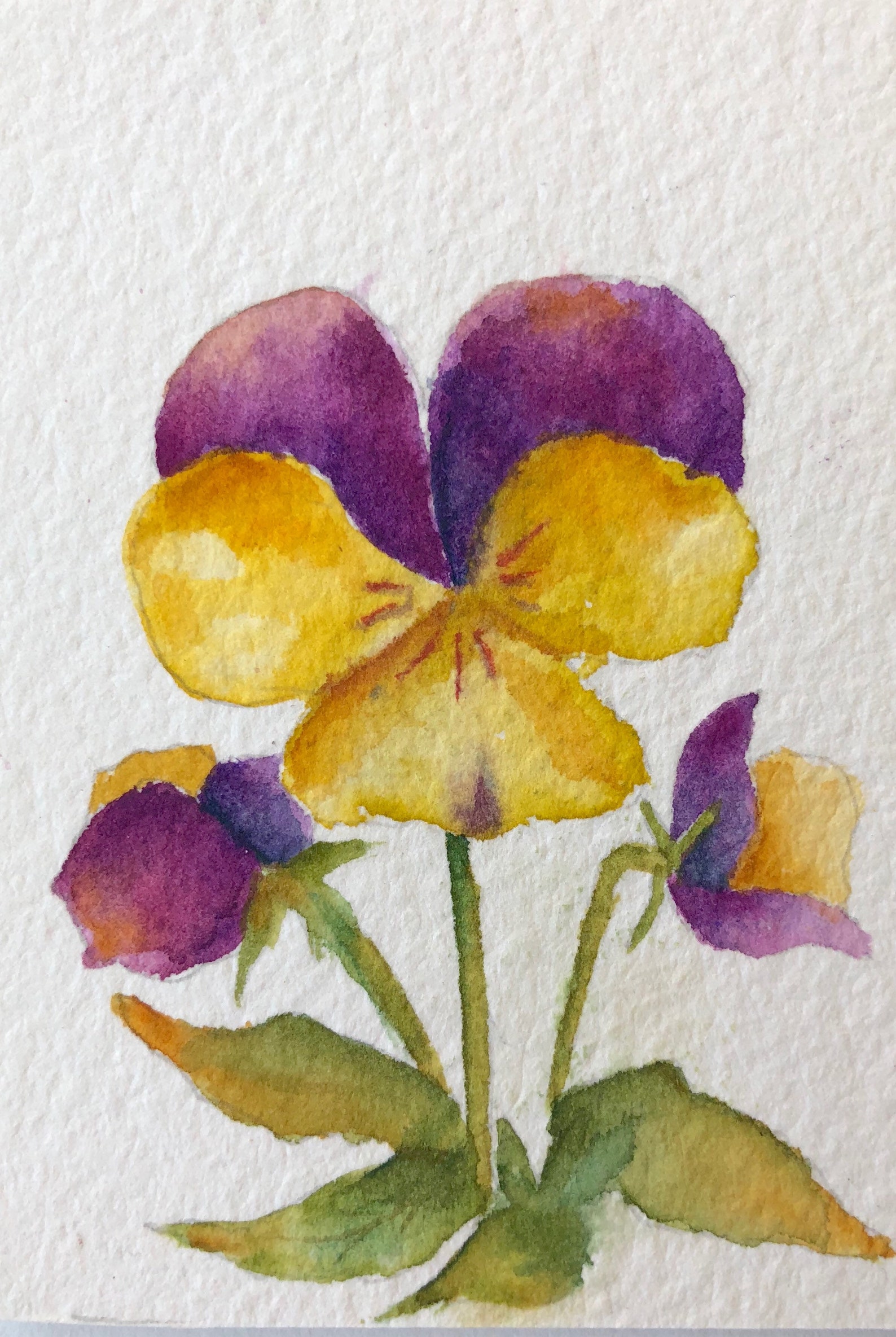 Watercolor of Violets Art Card Original Painting Art Work - Etsy