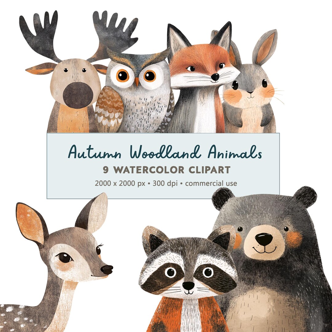 9 Autumn Woodland Animals Clipart Bundle PNG Digital Download | Fall ...
