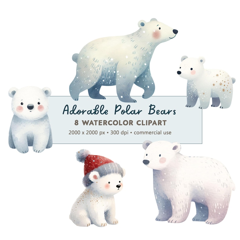 8 Adorable Polar Bears Clipart Bundle PNG Digital Download | Winter ...