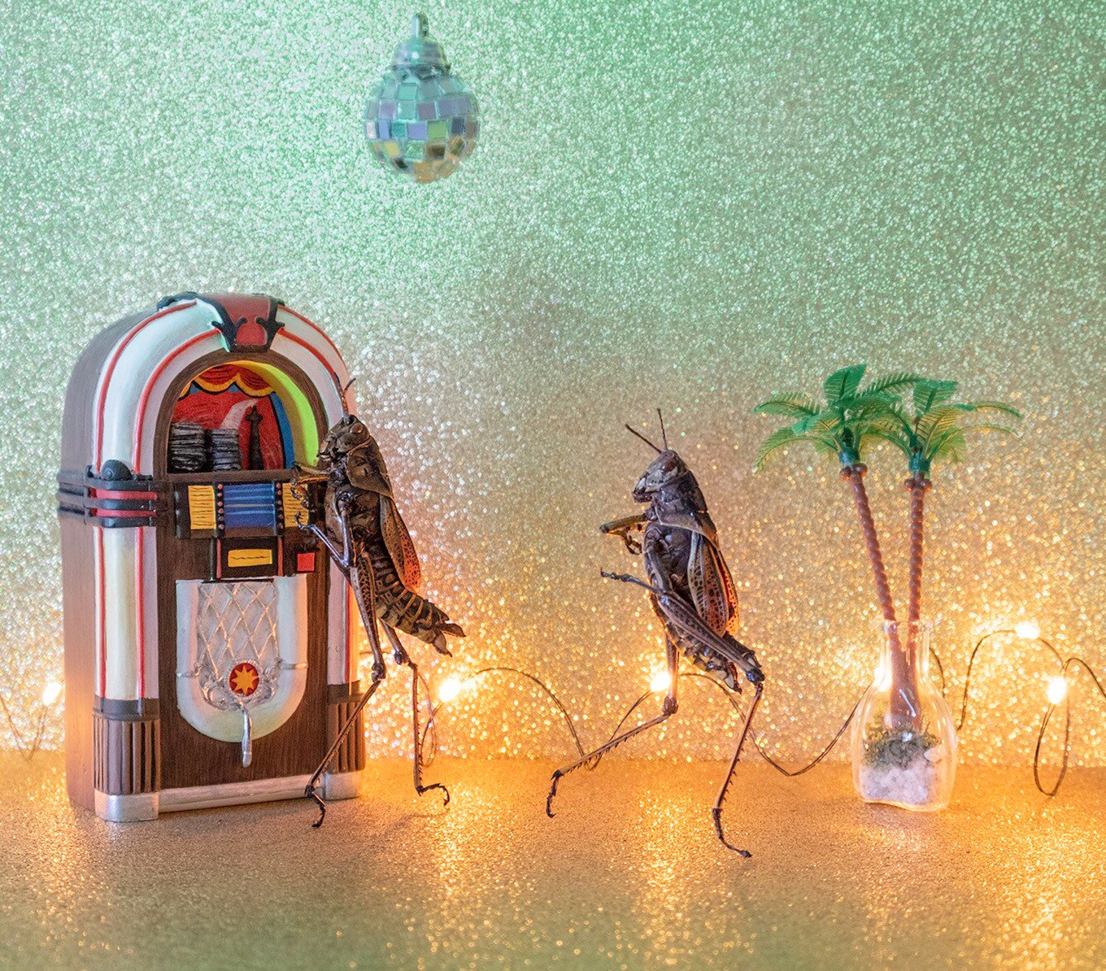 This is My Jam Dancing Locust Grasshopper Print - Etsy