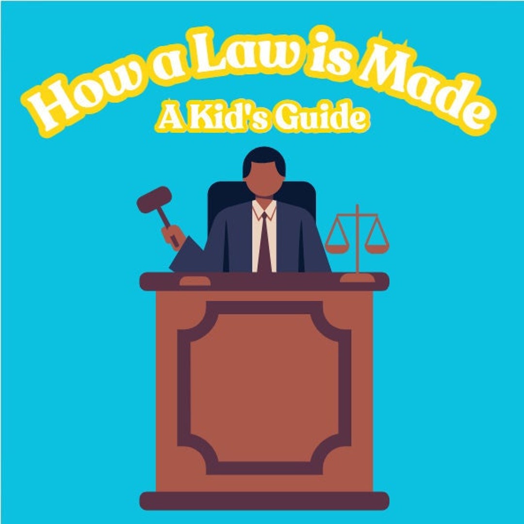How a Law is Made: A Kid's Guide - Etsy