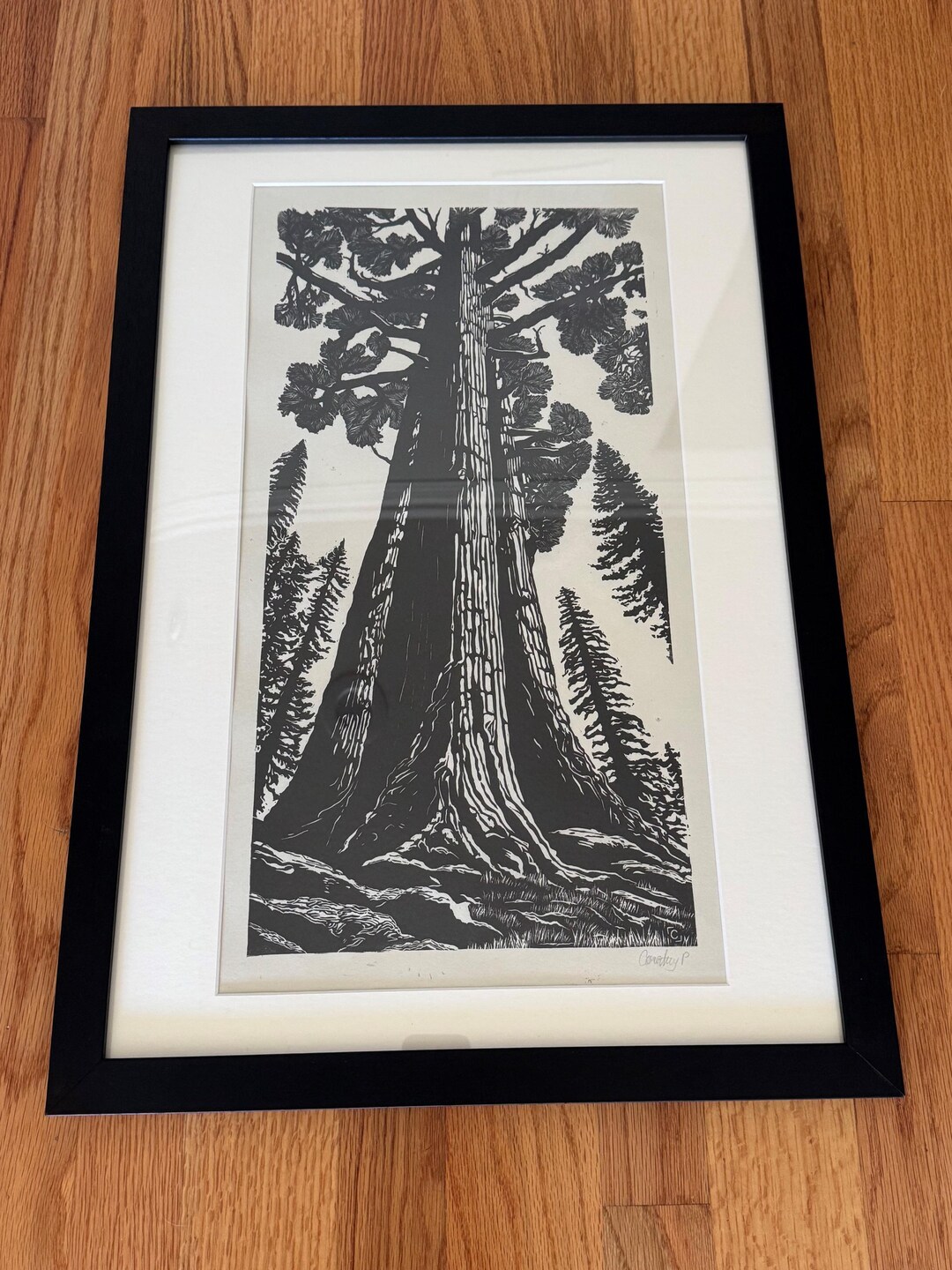 FRAMED A Redwood Forest Giant, Linocut Tree Print - Etsy