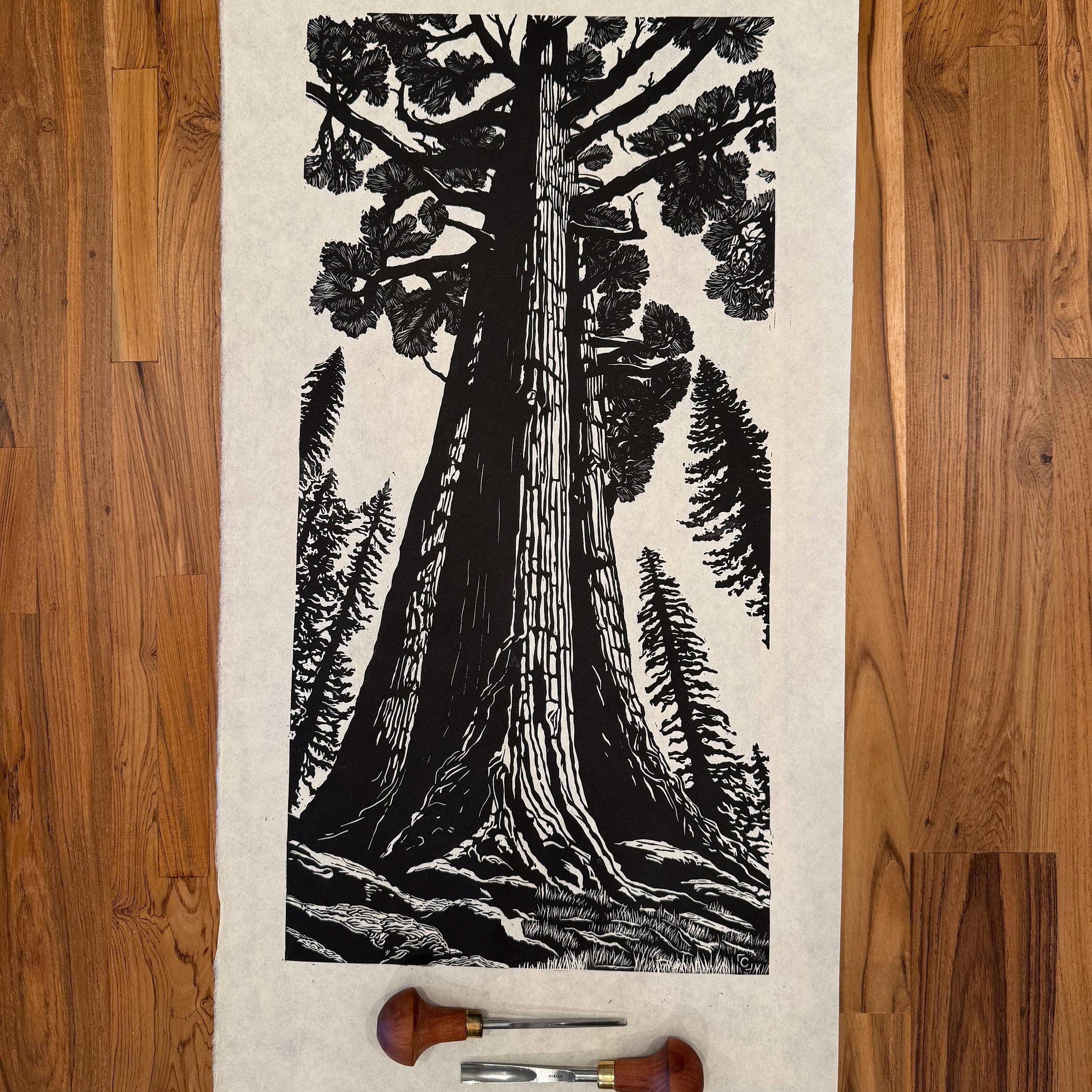 A Redwood Forest Giant, Linocut Tree Print - Etsy