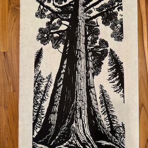 A Redwood Forest Giant, Linocut Tree Print - Etsy