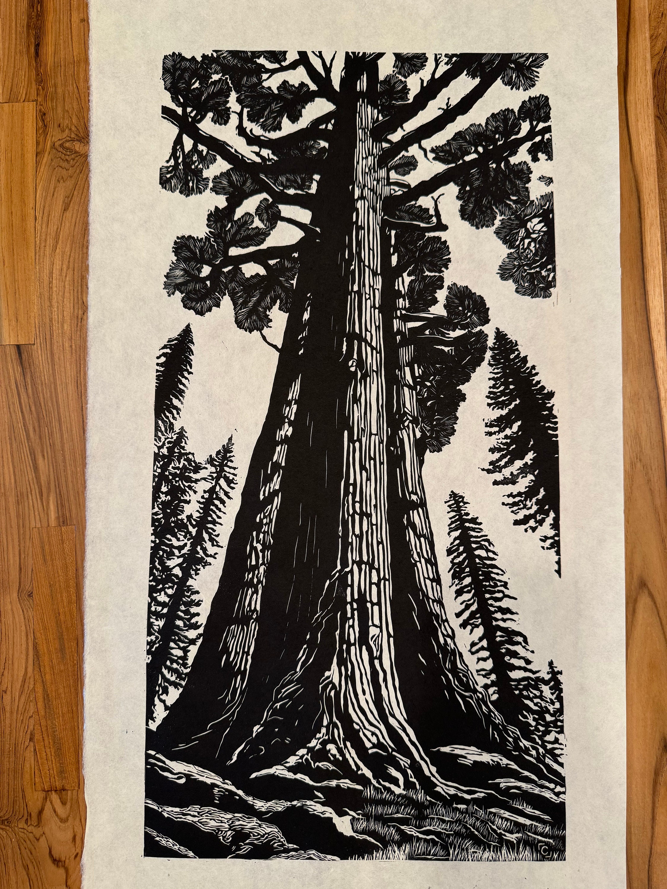 A Redwood Forest Giant, Linocut Tree Print - Etsy
